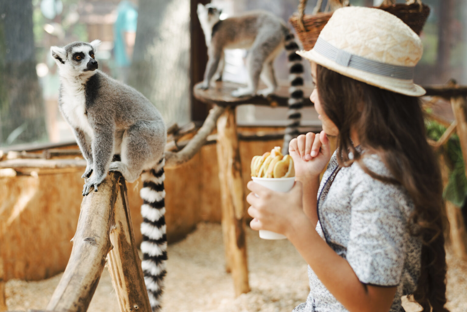Best Zoos in Tennessee & Kid-Friendly Zoos Near Me